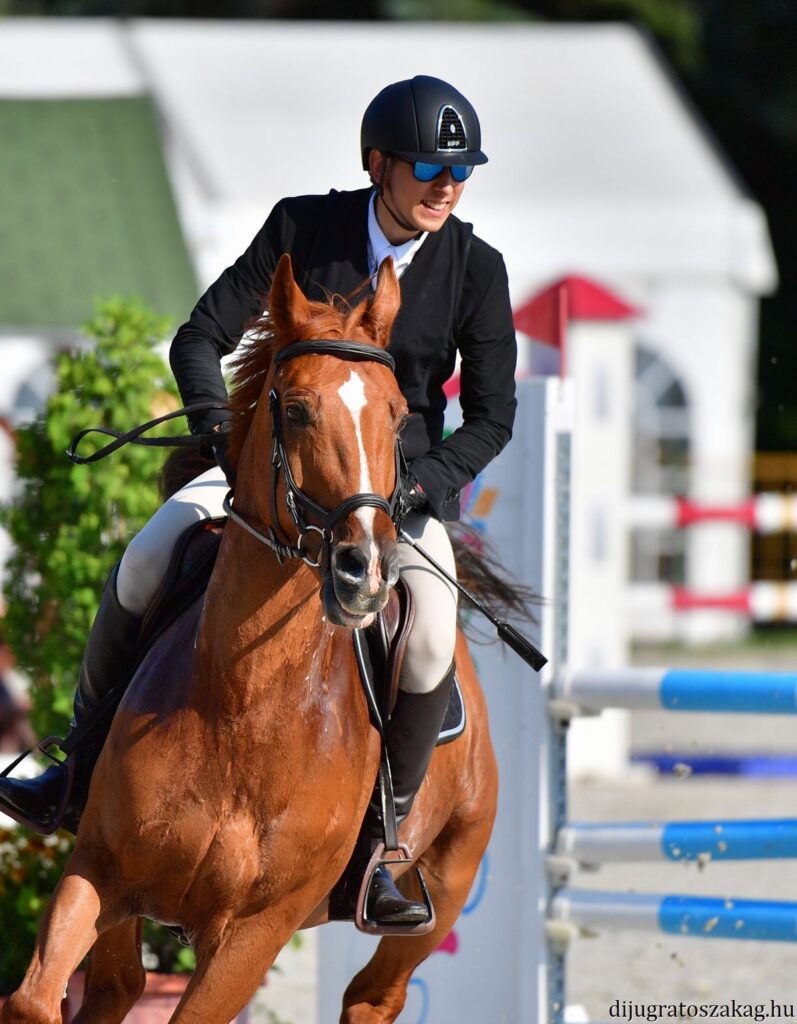 Magyar tenyésztésű ló, Kurszán a legjobb fiatal ló Bábolnán – A Magyar ...