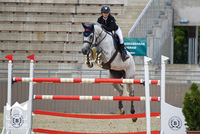 Bosits Boglárka a fiatal lovasok legjobbja – A Magyar Lovas Szövetség ...